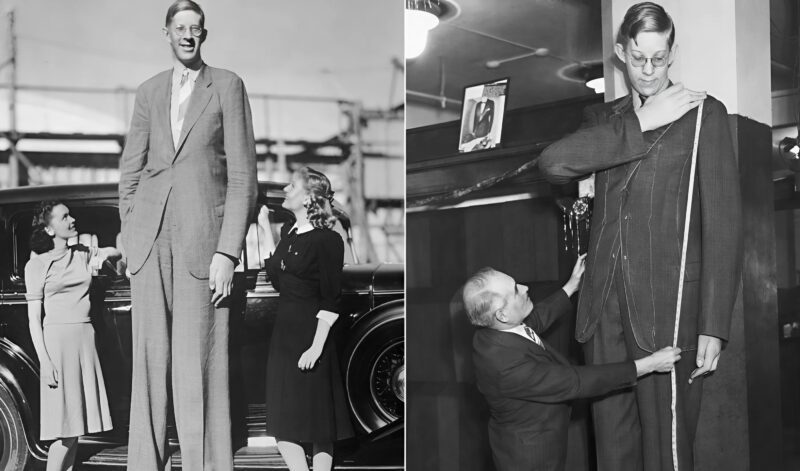 De langste man ter wereld ooit was 2,72 meter lang! Zijn gigantische ...